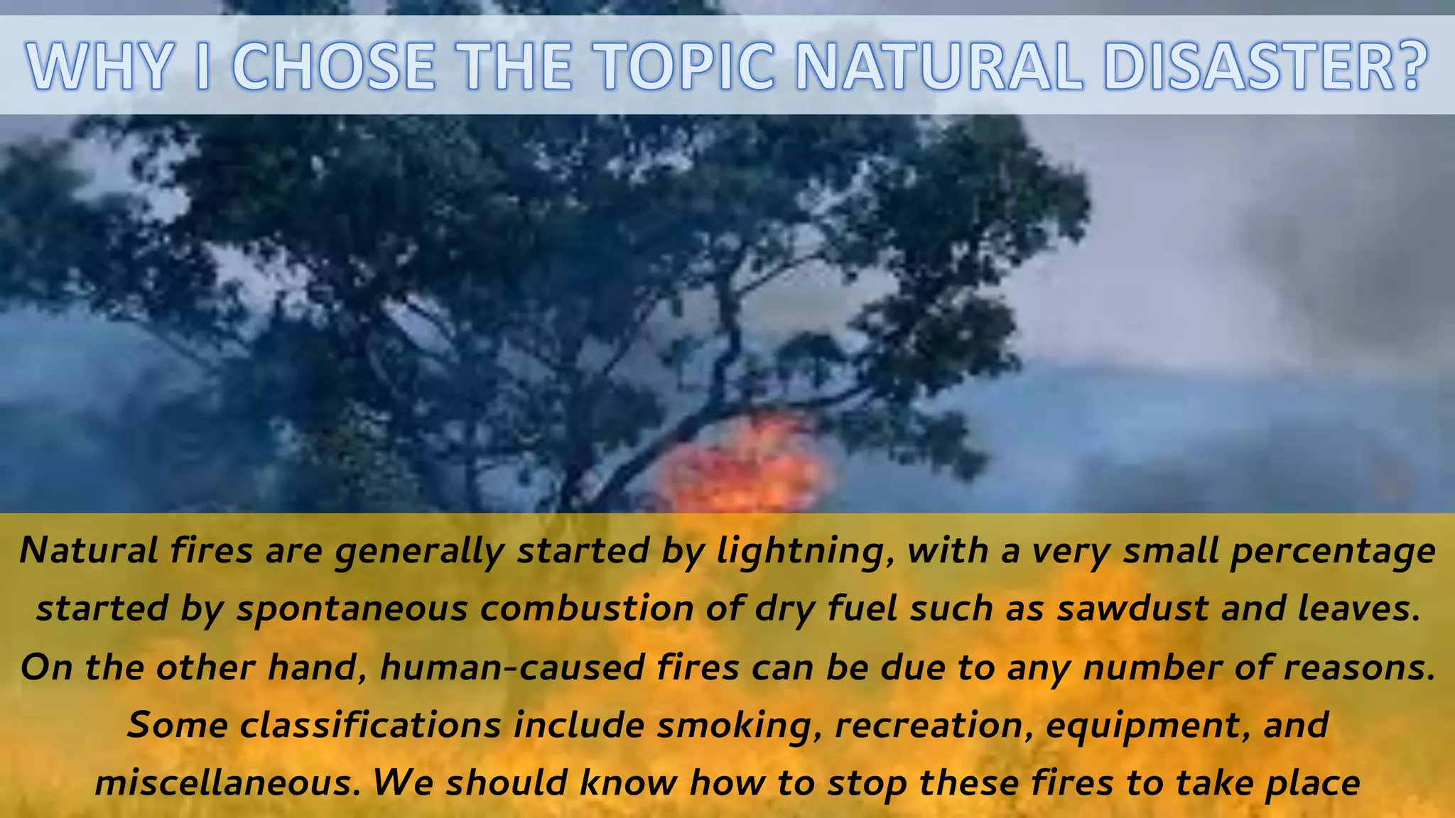 Natural disaster (Forest Fire) | PDF