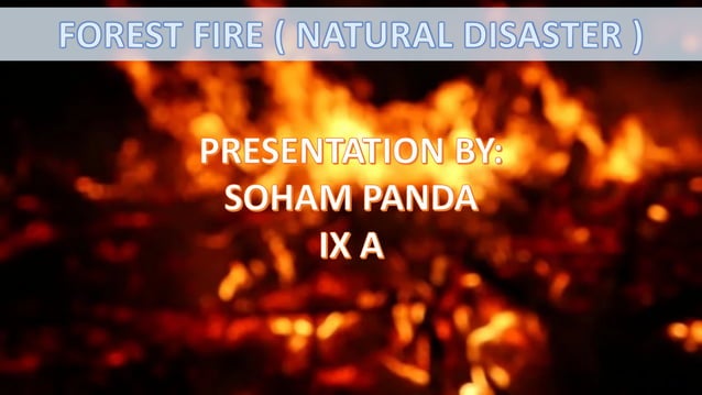 Natural disaster (Forest Fire) | PDF
