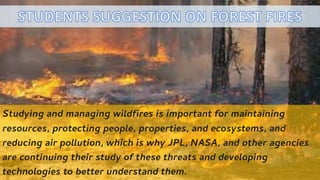 Natural disaster (Forest Fire) | PPT