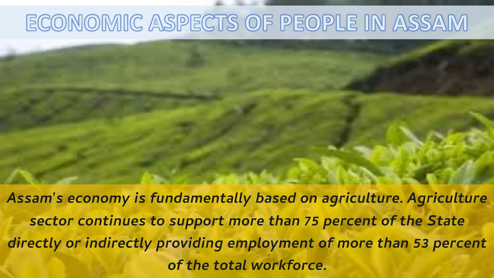 Petrochemical natural resources of Assam | PDF