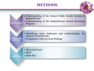 Saskatchewan Dental Health Screening Program Report | PPTX | Dental ...