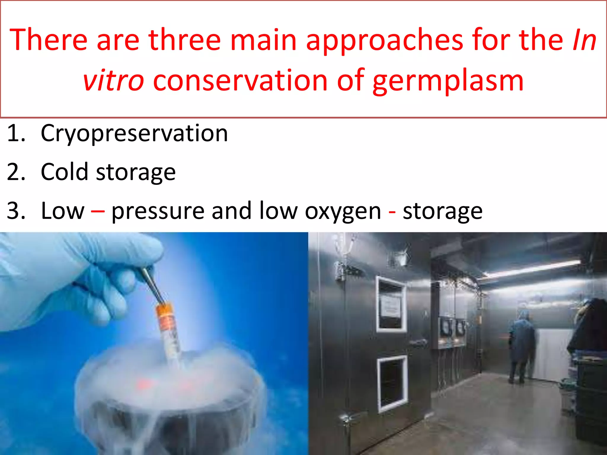 Invitro conservation of germ plasm, In situ and Ex situ germ plasm ...