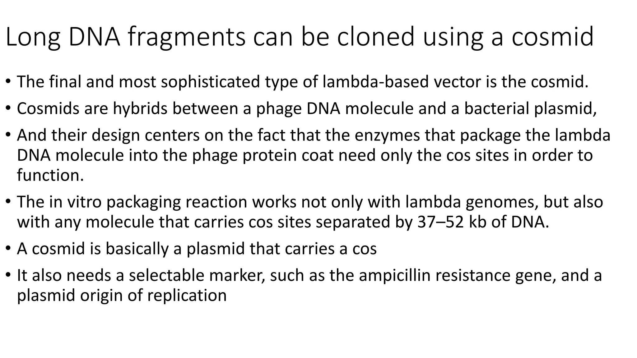 lambda cloning vector | PPTX