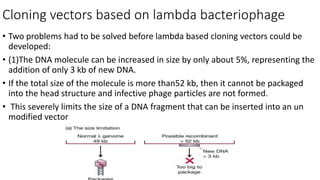 lambda cloning vector | PPTX
