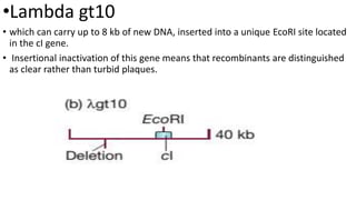 lambda cloning vector | PPTX