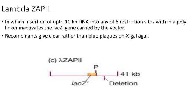 lambda cloning vector | PPTX