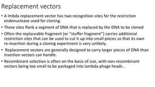 lambda cloning vector | PPTX