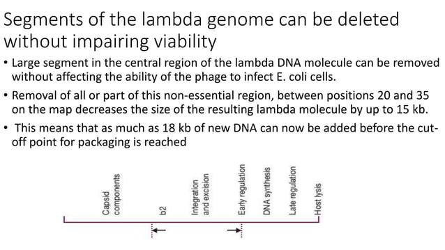 lambda cloning vector | PPTX