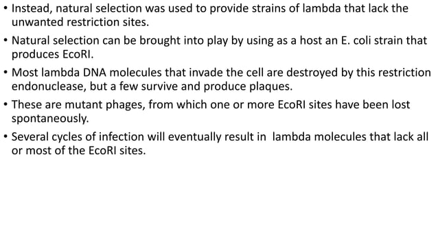 lambda cloning vector | PPTX
