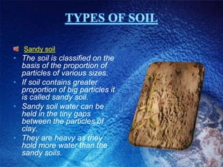 Soil | PPTX