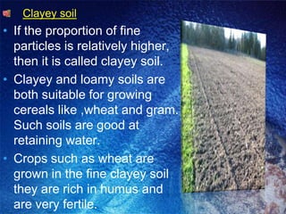 Soil | PPTX