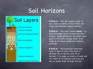 Soil | PPT