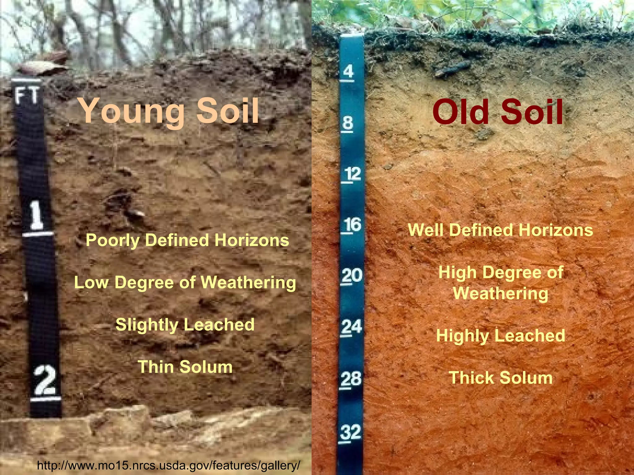 Principles of soil science | PPT | Gardening | Home & Garden