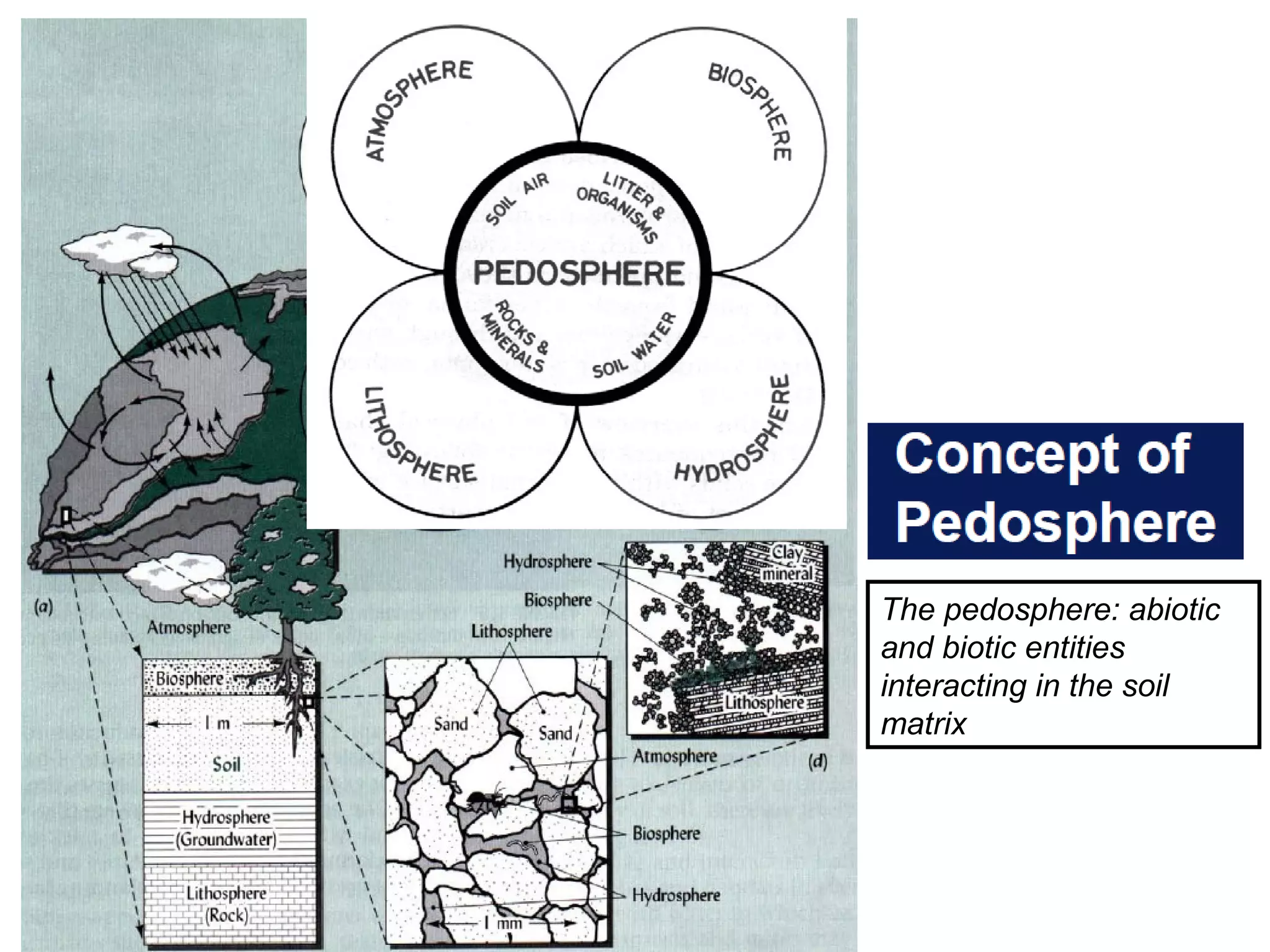 Principles of soil science | PPT