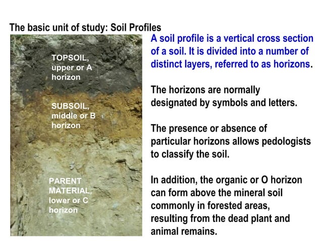 Principles of soil science | PPT | Gardening | Home & Garden