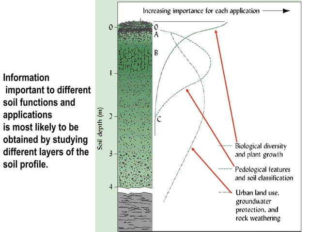 Principles of soil science | PPT | Gardening | Home & Garden
