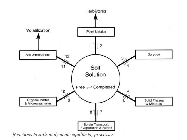 Principles of soil science | PPT | Gardening | Home & Garden