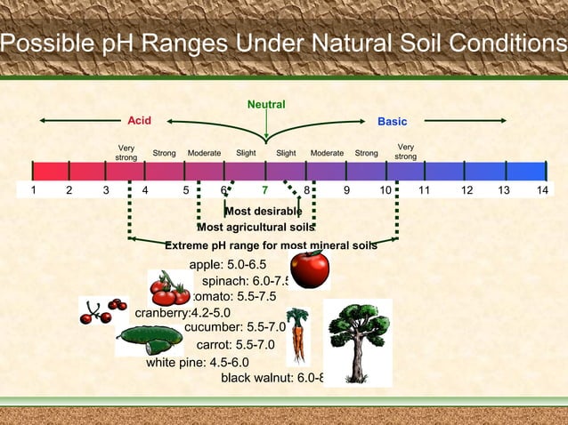 Principles of soil science | PPT | Gardening | Home & Garden