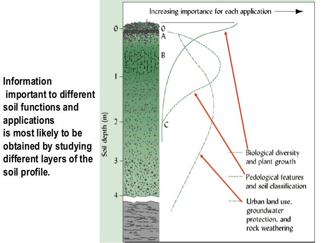 Principles of soil science