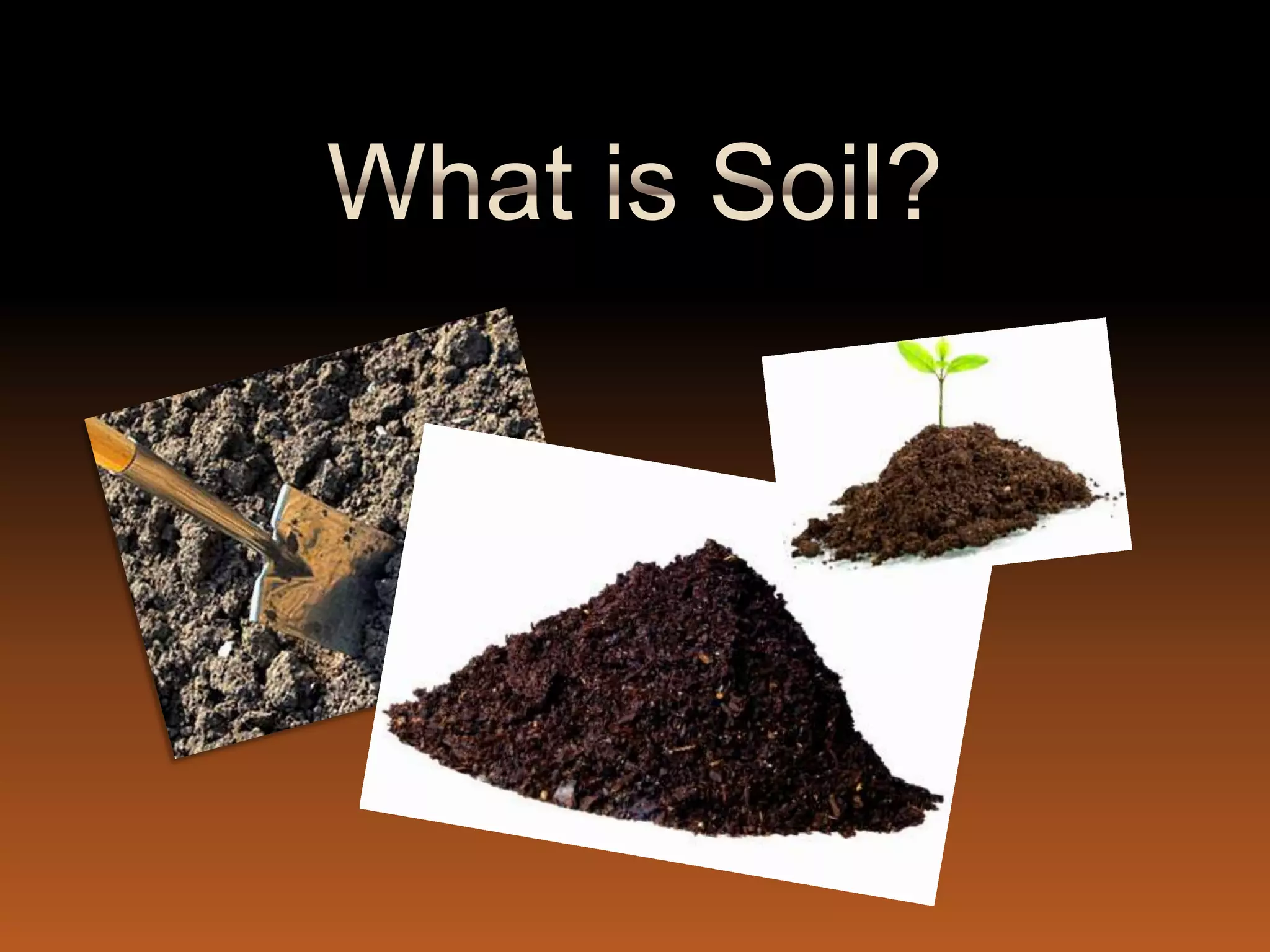 Soil | PPTX