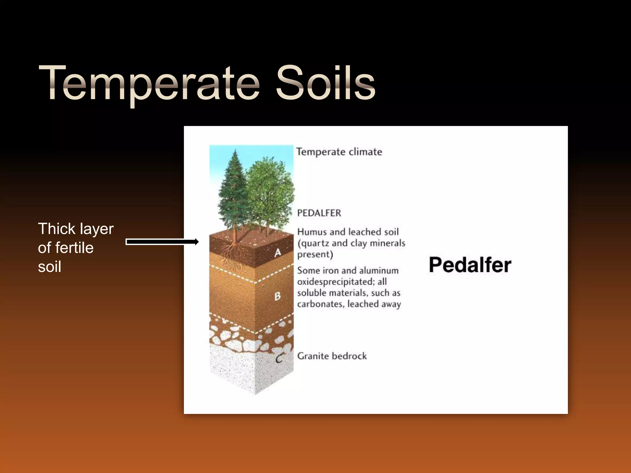 Soil | PPTX