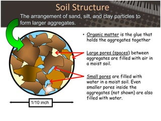Soil | PPTX