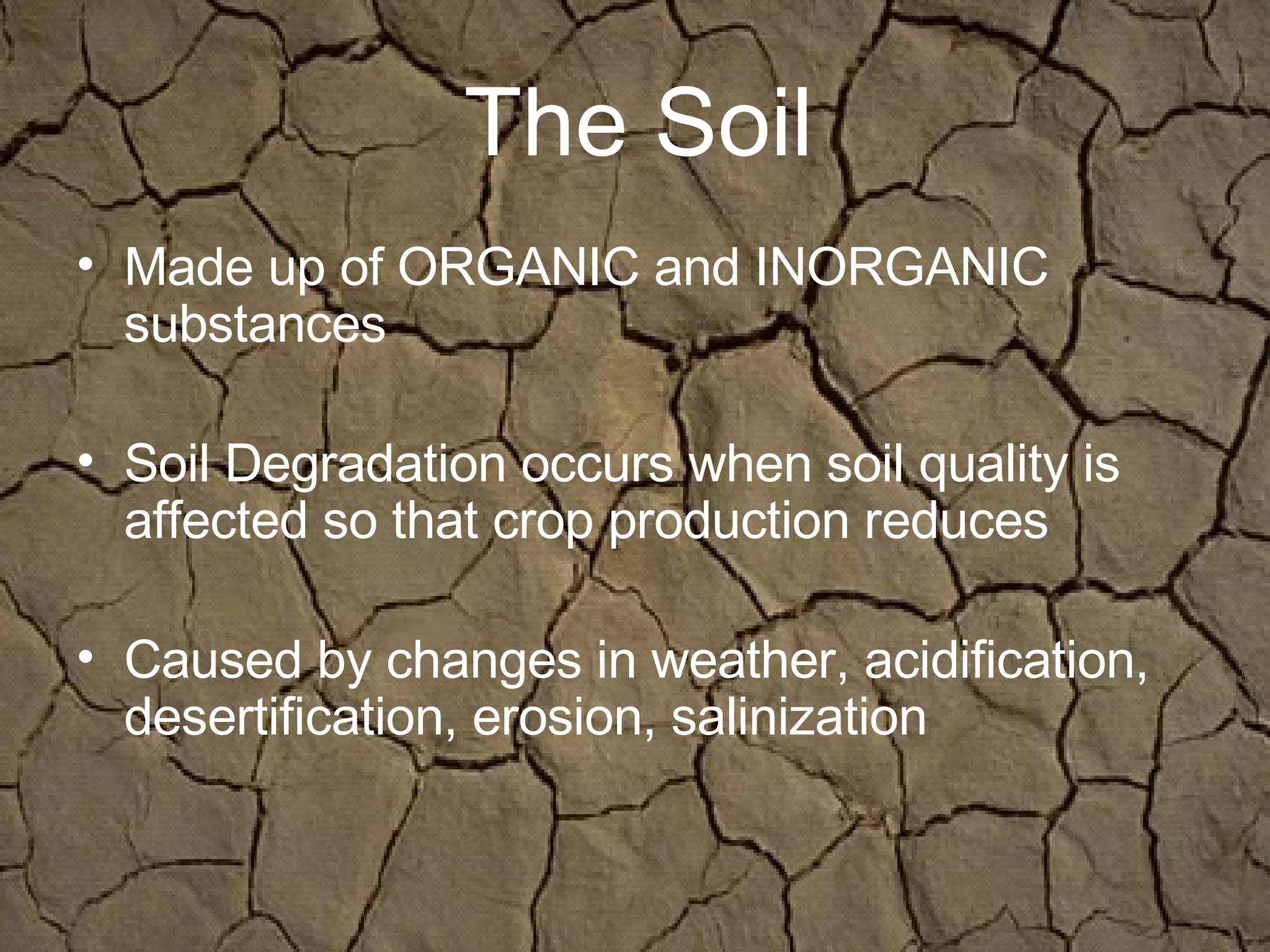 Soil | PPT