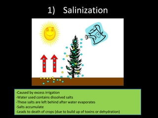 Soil | PPT