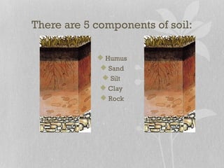 Soil | PPT