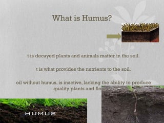 Soil | PPT