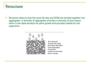 Soil | PPT