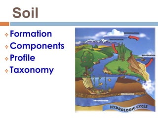 Soil | PPTX
