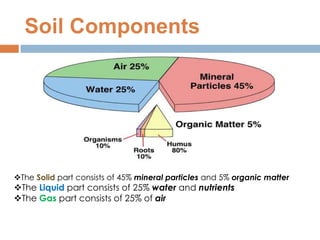 Soil | PPTX
