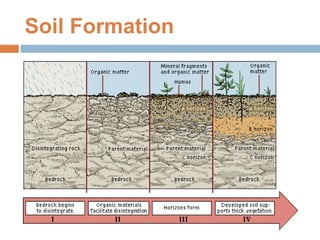 Soil | PPTX