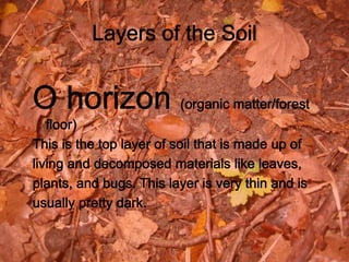 Components, Physical Properties, Types, and Layers of Soil | PPSX