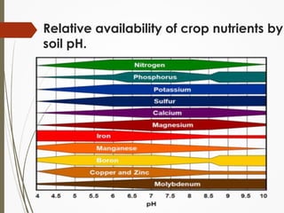 The Soil | PPTX
