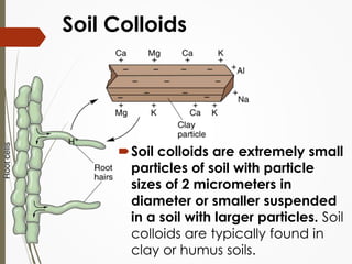 The Soil | PPTX