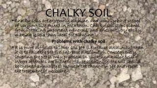 Soil | PPTX