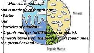 Soil | PPTX