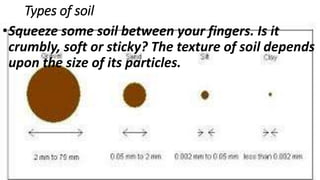 Soil | PPT