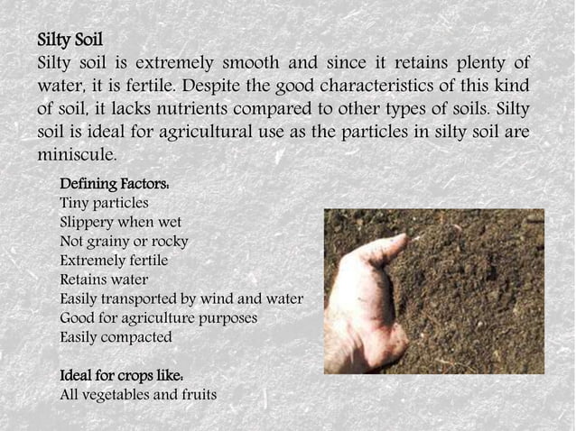 Soil | PPTX
