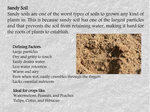 Soil | PPTX