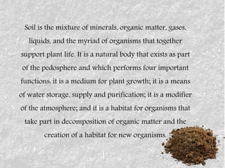 Soil | PPTX