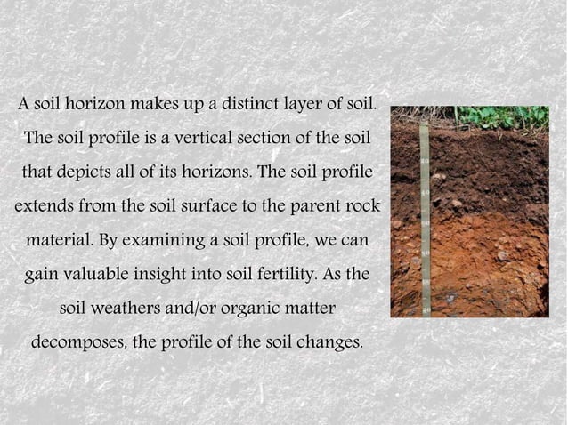Soil | PPTX
