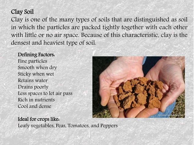 Soil | PPTX