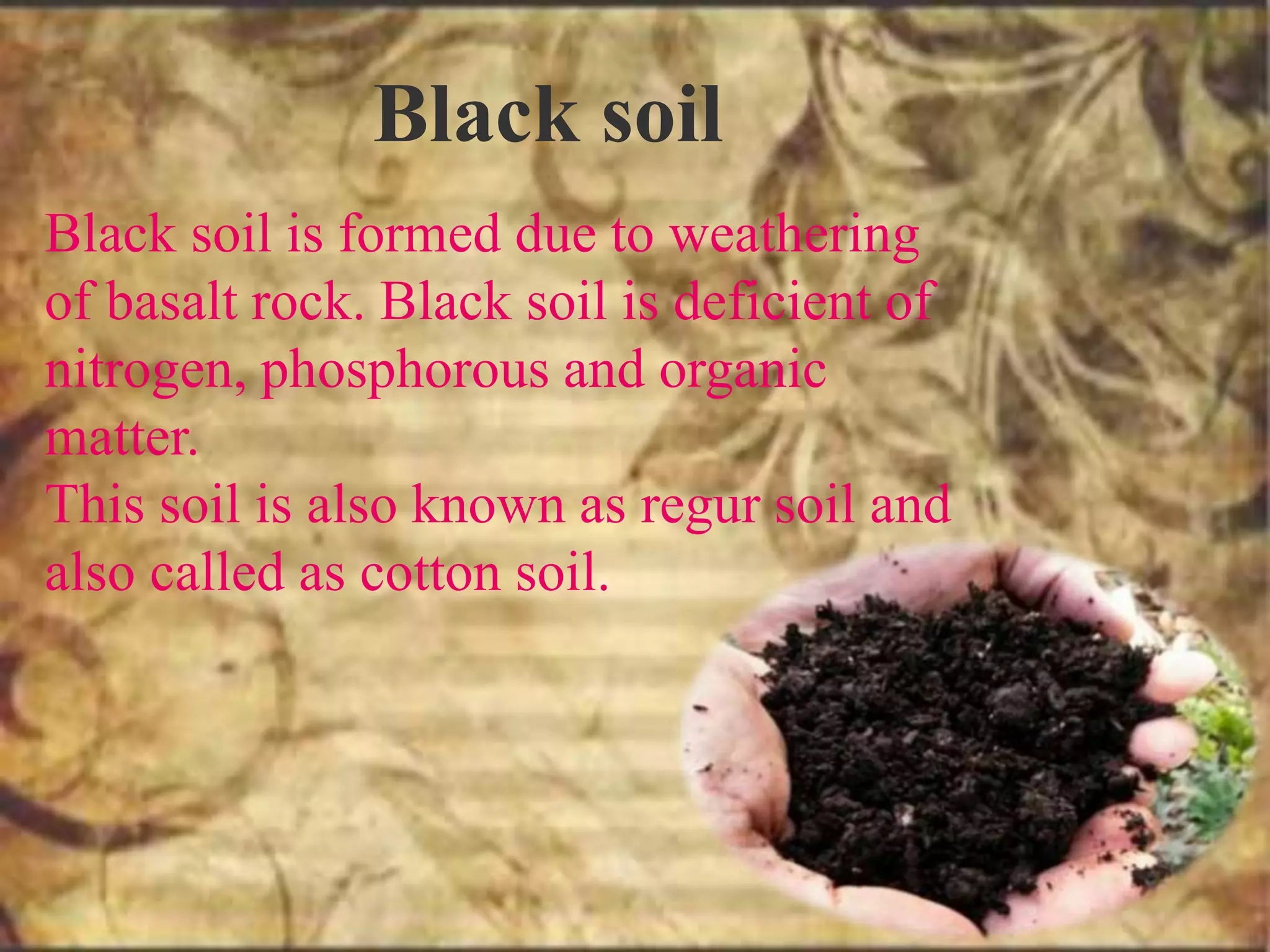 Soil | PPTX