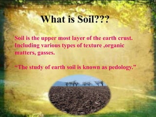 Soil | PPTX