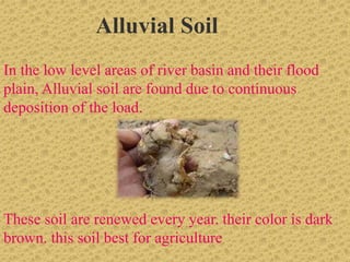 Soil | PPTX