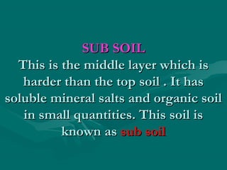 09. Soils by Dilip Kumar Chandra | PPT