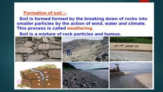 Soil | PPTX